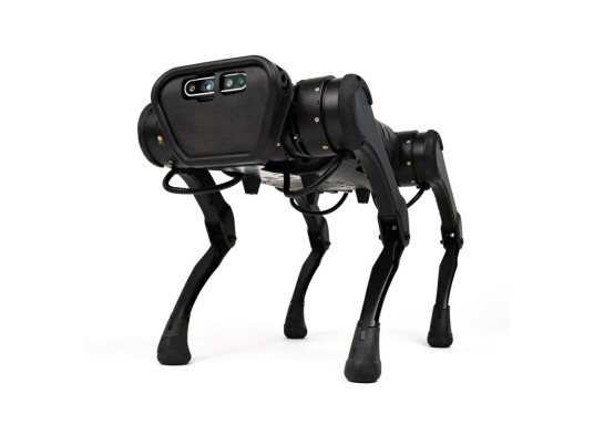Unitree Robotics A1 Robot Dog Review | Top 3D Shop